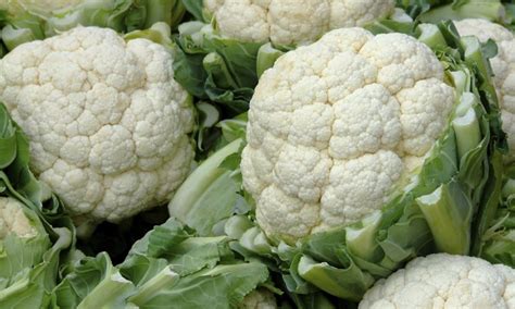 ყვავილოვანი კომბოსტო ცილების შემცველობის მიხედვით ნამდვილი რეკორდსმენია