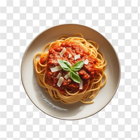 진한 토마토 소스와 신선한 바질 잎을 얹은 스파게티 한 접시 스파게티 스파게티와 함께 신선한 Png 일러스트 및 이미지 에 대한 무료 다운로드 Pngtree