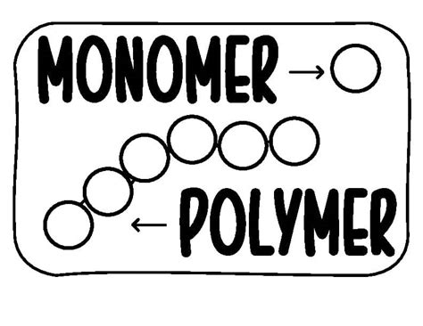 Macromolecules Basic Molecular Structure Sorting Activity Tpt