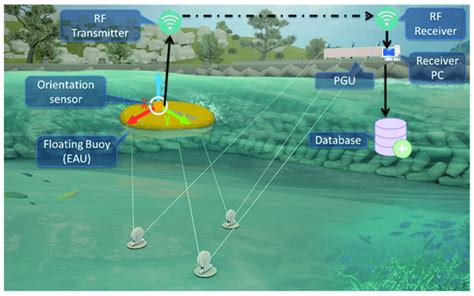 Schematic Diagram Of The Data Collection Procedure Download Scientific Diagram