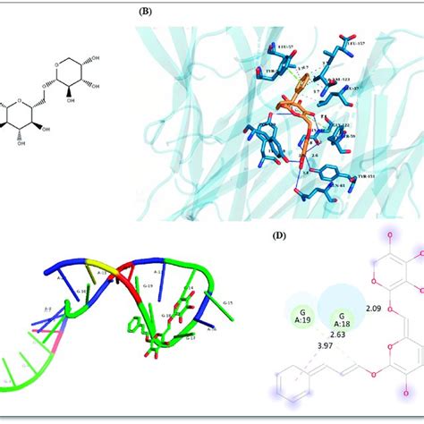 A Chemical Structure Of Rosavin B Rosavin Interaction With Tnf α