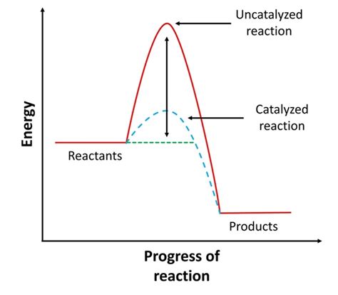 Energy Diagram Catalyzed Vs Uncatalyzed Reaction Video Catalysis