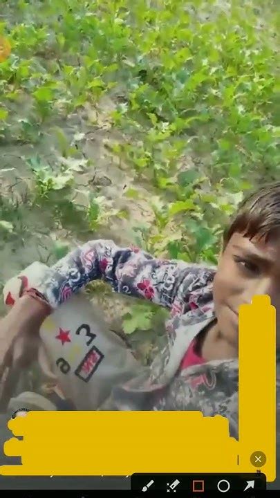 Cheat Cheatengine Youtube