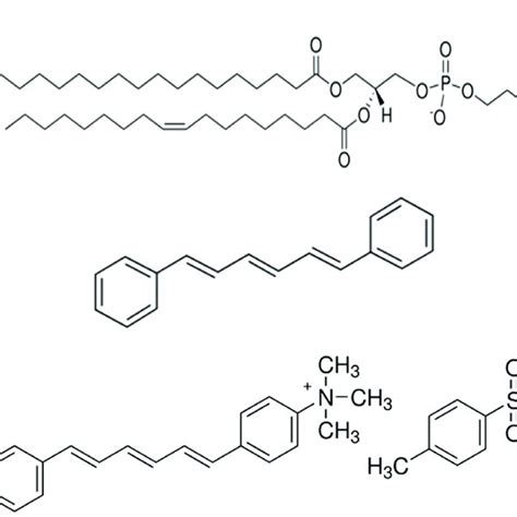 Chemical Structures Of A Sopc Lipid B 1 Download Scientific Diagram