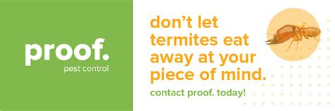 Boric Acid For Termites Our Diy Pest Advice Pest Control
