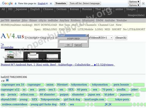 cross site scripting vulnerability obb 281229 open bug