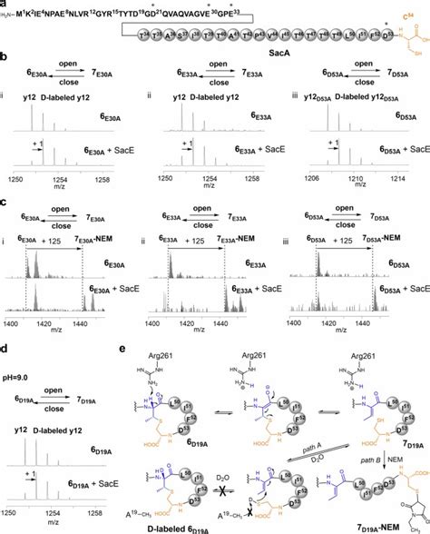 Pseudokinases Can Catalyse Peptide Cyclization Through Thioether