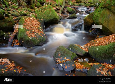 Ukderbyshirepeak Districtpadley Gorge Waterfalls In Autumn Stock