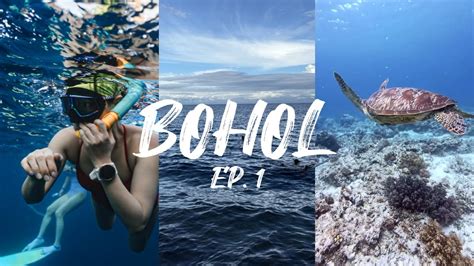 원프리다이빙에서 떠난 프리다이빙 투어 필리핀 보홀 브이로그 Ep1 Youtube
