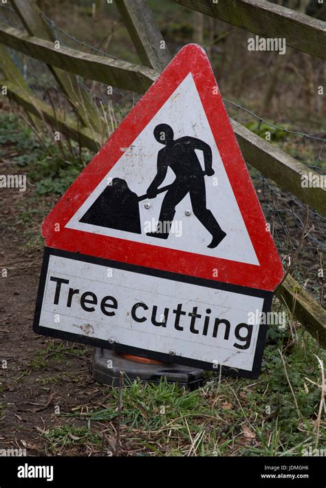 A Tree Cutting Sign Stock Photo Alamy