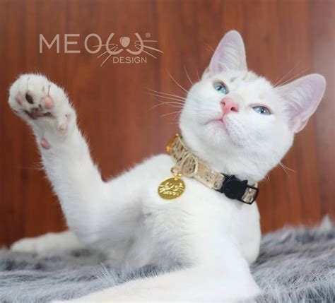 Kitty Mjau Design Added A New Photo Kitty Mjau Design