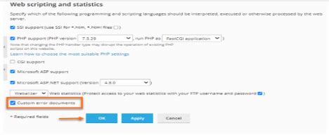 Setup Custom Error Docs With Plesk On Windows Help Buzinessware
