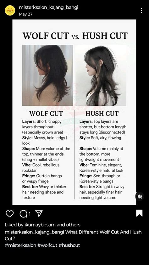 Wolf Haircut Meaning Difference Between Wolf Cut And Shag What Is