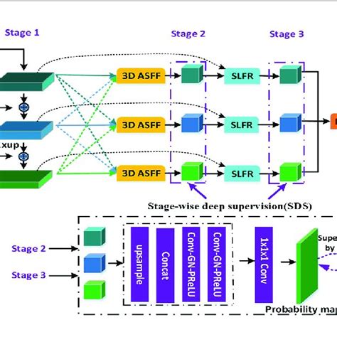 Automatic Segmentation Results Based On Different Backbones Download