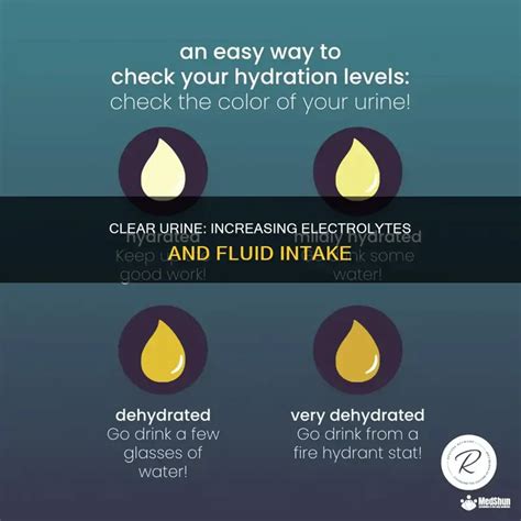 Clear Urine Increasing Electrolytes And Fluid Intake Medshun