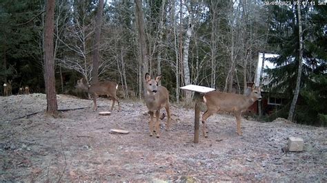 And Then There Were Six Youtube