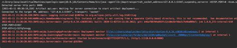 Intellij Jetty Plugin Does Not Extract War Stack Overflow