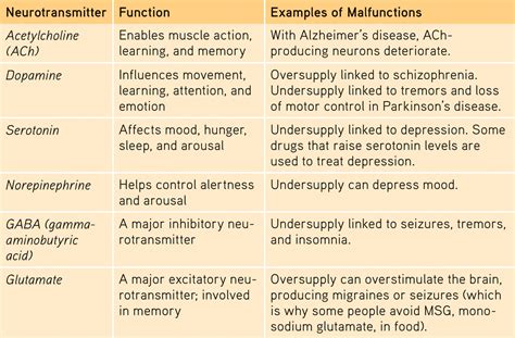 Neurotransmitters And Their Functions Neurotransmission An Overview