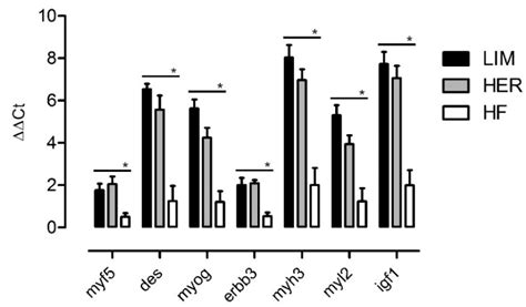 Transcriptomic Profile Of Primary Culture Of Skeletal Muscle Cells Isolated From Semitendinosus