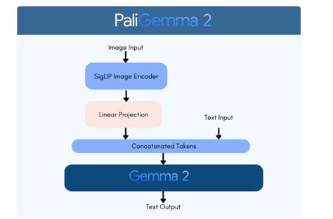 Fine Tuning Quantize Infer — Qwen2 Vl Mllm On Custom Data For Ocr