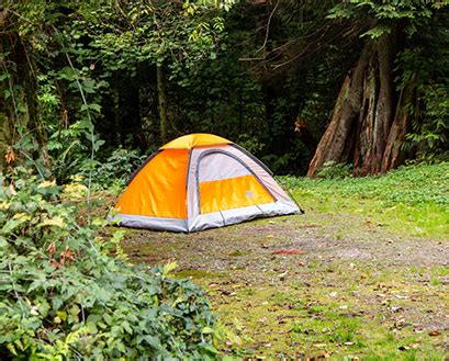 Thousand Trails Whalers Rest Rv Resorts In Oregon