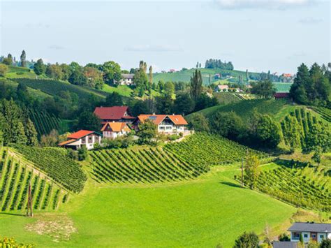 "Winzer Billeder – Gennemse 18,388 stockfotos, vektorer og videoer ...