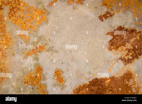 Stone Rust Slate Granite Tile Board Backdrop Background Texture Stone Stone Rust Slate Granite Tile Board Backdrop Background Texture Stone