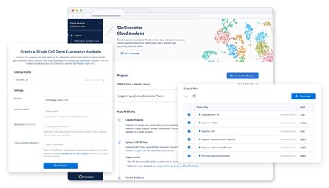 Visium Spatial Platform 10x Genomics
