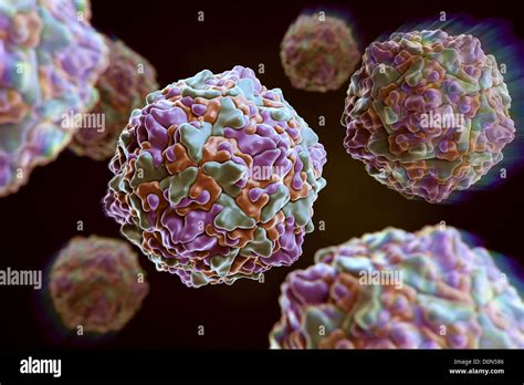 Кристалл раш вк фото