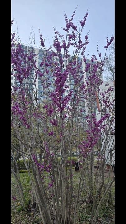 오늘도 허당 같은 나 그래도 잘 살고 있어 현실조언 공감글귀 지친하루 허당할매 Youtube