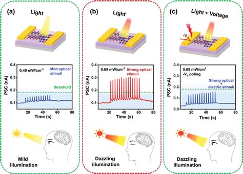 The Simulation Of The Light Adaptation Performances Of The Human Visual Download Scientific