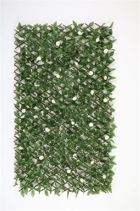 Expanding Rose Leaf And Flowers Trellis Screening Size 100x200cm