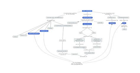 Mapa Conceptual De La Unidad De Sexualidad Consumo De Drogas Y