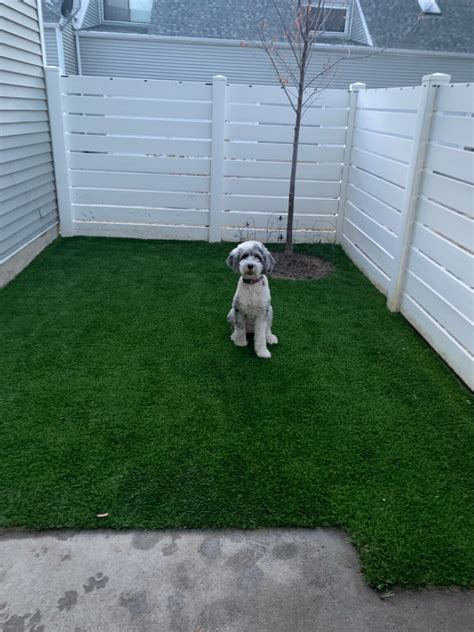 How To Install Artificial Turf Step By Step Guide Elite Turf Supply