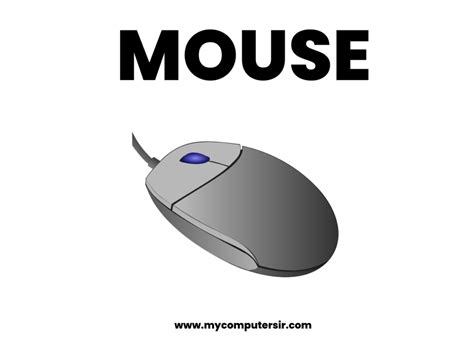 What Is Input Devices In Marathi With Best 10 Examples My Computer Sir