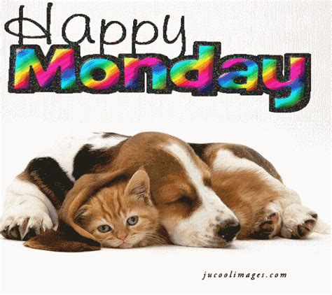 Happy Monday Happy Monday Images Monday Images Monday Greetings