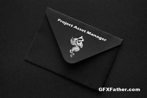 Project Asset Manager Unity Asset V1 42 8143 Gfxfather