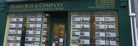 Contact Us Harry Ray And Company