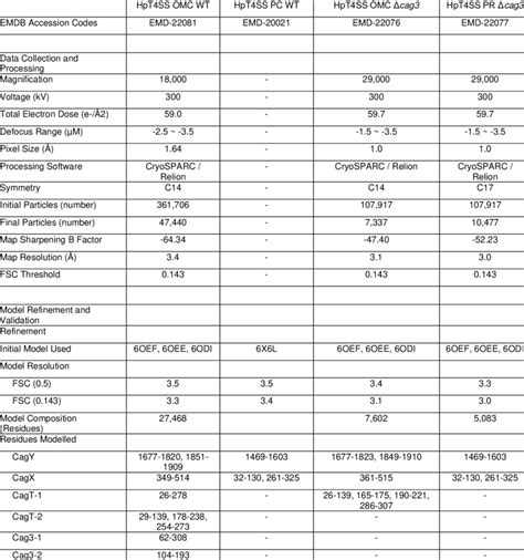 Cryo Em Data Collection And Processing Download Scientific Diagram