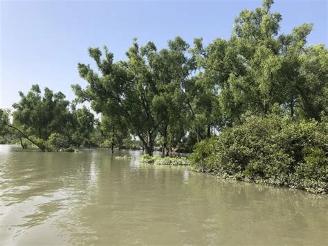 Effective Adaptation For Avoiding Maladaptation