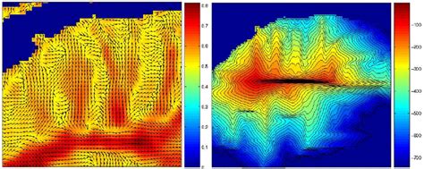 Left The Principal Eigenvalues And Eigenvectors Of The Diffusion
