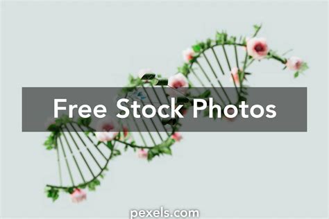 Microbial Genomics And Bioinformatics Photos Download The Best Free