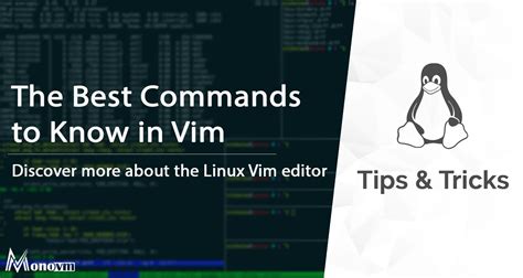 Top Linux Vim Commands With Examples You Check In 2024 Updated