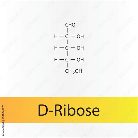 Straight Chain Form Chemical Structure Of D Ribose Sugar Scientific