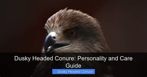 Dusky Headed Conure Personality And Care Guide