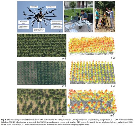 Photogrammetry And LiDAR For Forest Industry GeoAI