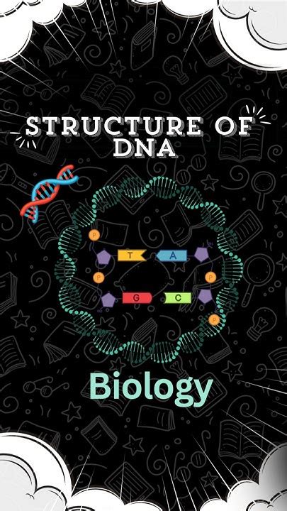 Structure Of Dna Decoded Igcse Edexcel O Level Gcse Biology