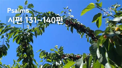 시편 131 140편 하루 20분🙏매일 듣고싶은 힐링말씀의 자유함 치유 회복하고 승리하는 하루 시편 잠언📖신약 구약 66권 성경통독 하나님말씀 기도 Youtube