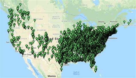 Does Your Mom Love Hummingbirds