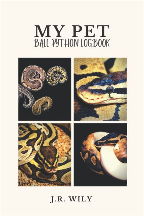 How Often Does Ball Python Eat Seller
